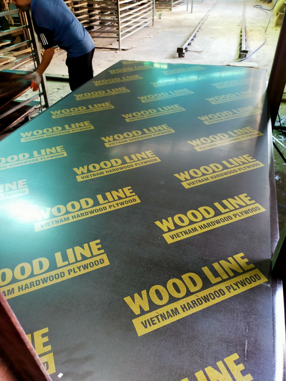 FILM FACED PLYWOOD - MY PLY VN