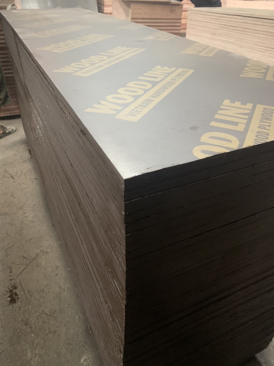 FILM FACED PLYWOOD - MY PLY VN
